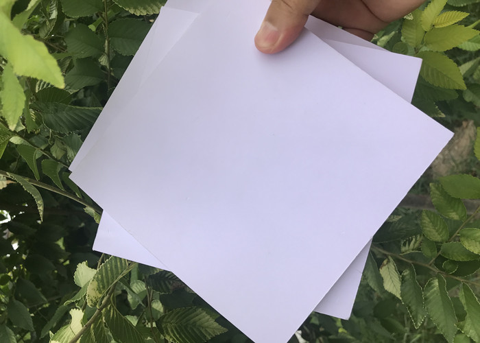 Durable White Pvc Sign Board , Photo Mounting Custom Foam Board Signs